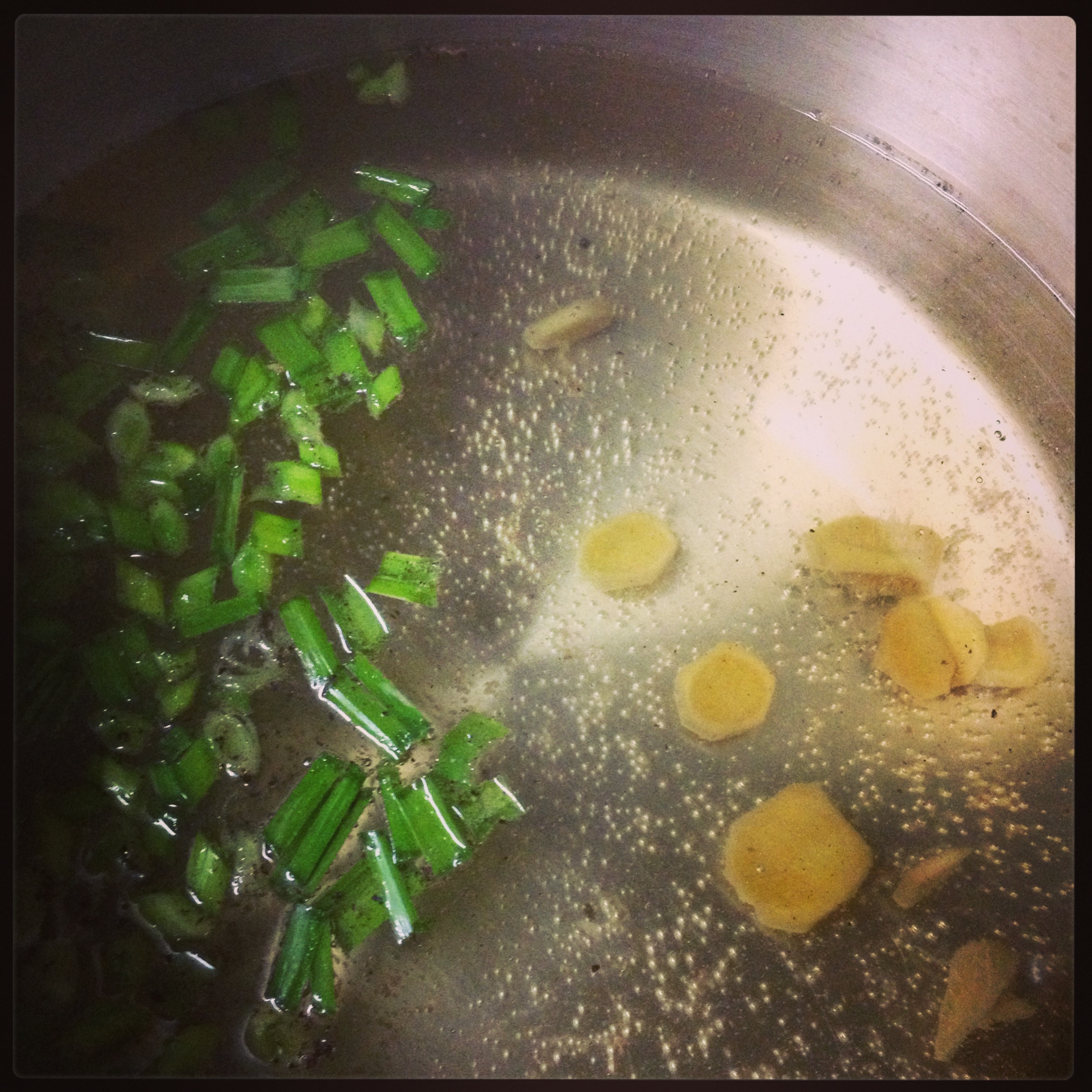 Tougan Soup- Winter Melon, Ash Gourd, Wax Gourd, or White Gourd ...