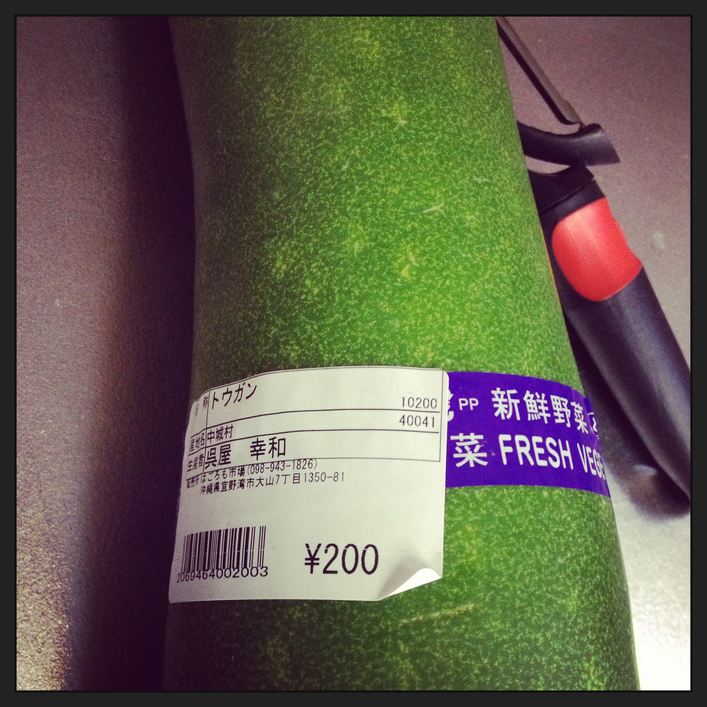 Tougan Soup- Winter Melon, Ash Gourd, Wax Gourd, or White Gourd ...