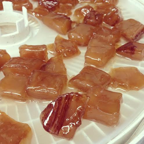 Kombucha Candy « Naturally DIY